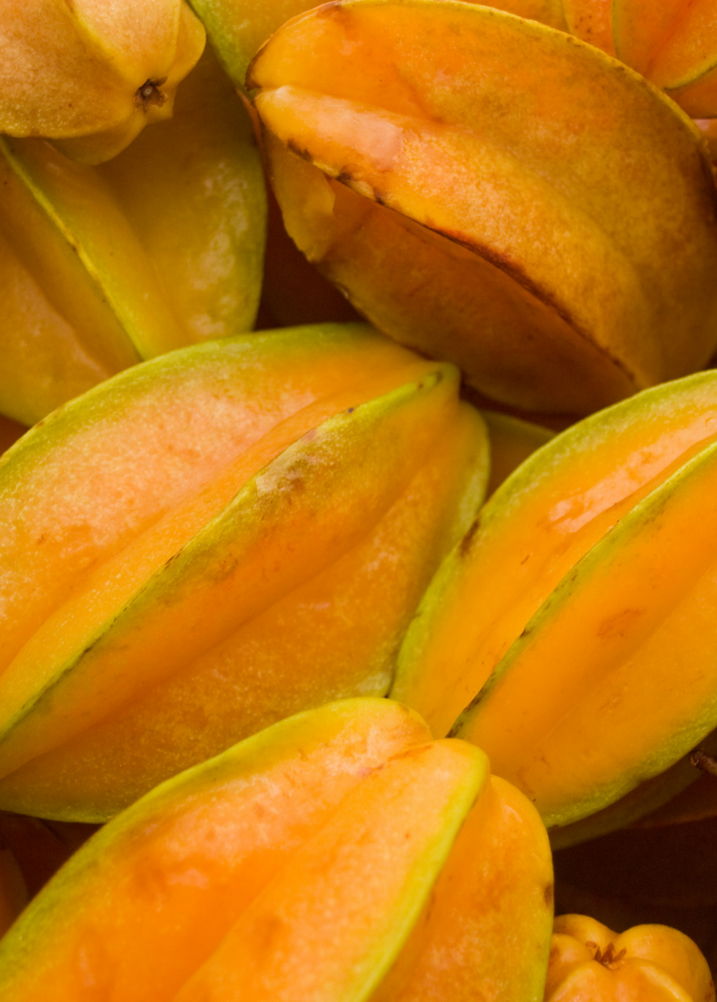 Star Fruit 'Lara' (Averrhoa carambola) – Lovehopegrow